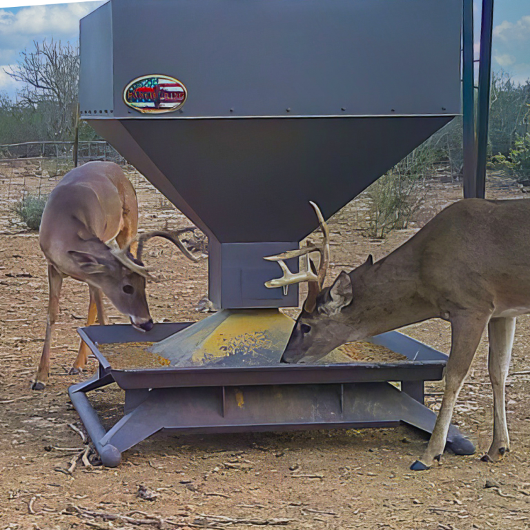 Choosing the Right Deer Feeder: Timed Protein Deer Feeders vs Free ...